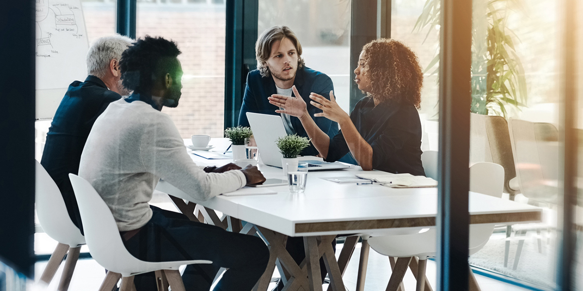 Loan Quality Fannie Mae